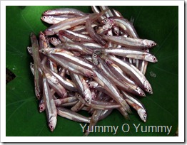 Anchovies/Netholi/Chooda Peera Pattichathu | Yummy O Yummy